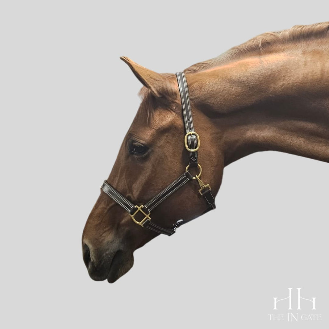 The In Gate - A Unique Approach To Luxury Equestrian Retail
