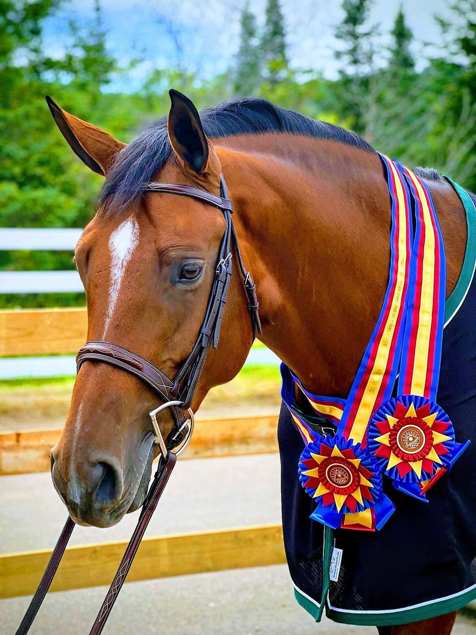 The In Gate - A Unique Approach To Luxury Equestrian Retail